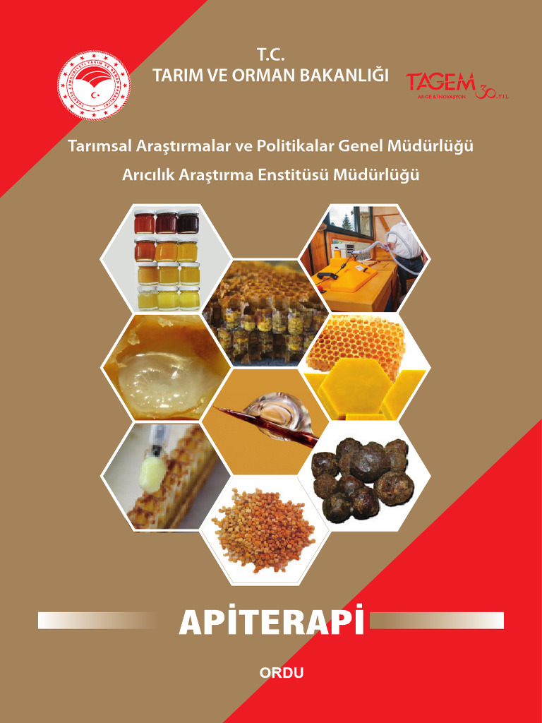 APİTERAPİ | PDF