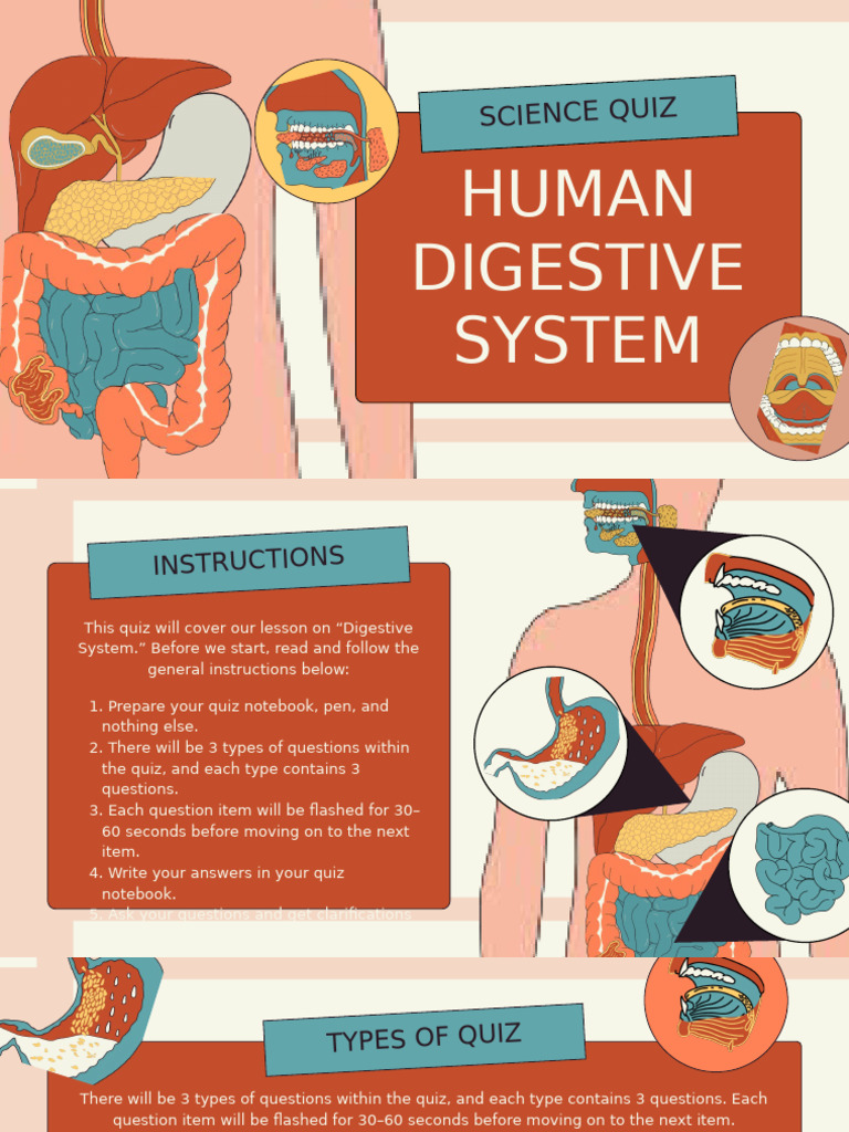 Digestive System Science Quiz | PDF | Digestion | Gastrointestinal Tract