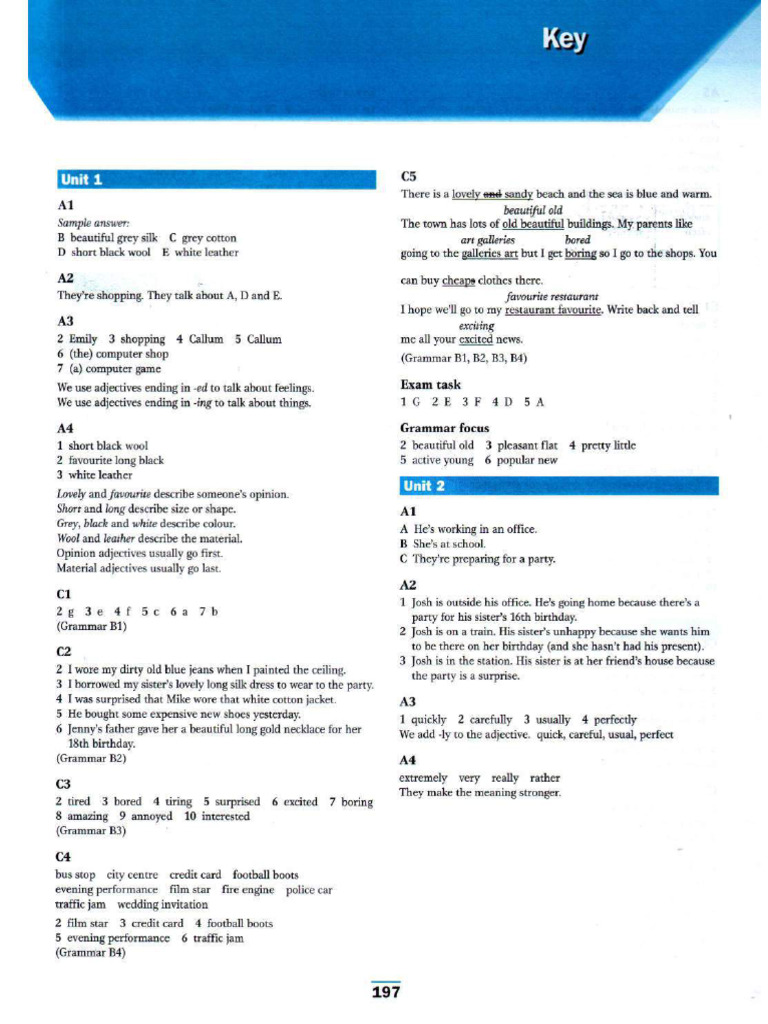 Ans Grammar For PET | PDF