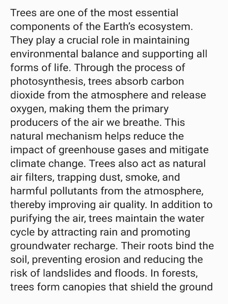 Tree Paragraph | PDF