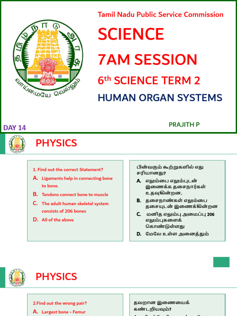 Science Day 14 - Term 2 Human Organ Systems | PDF