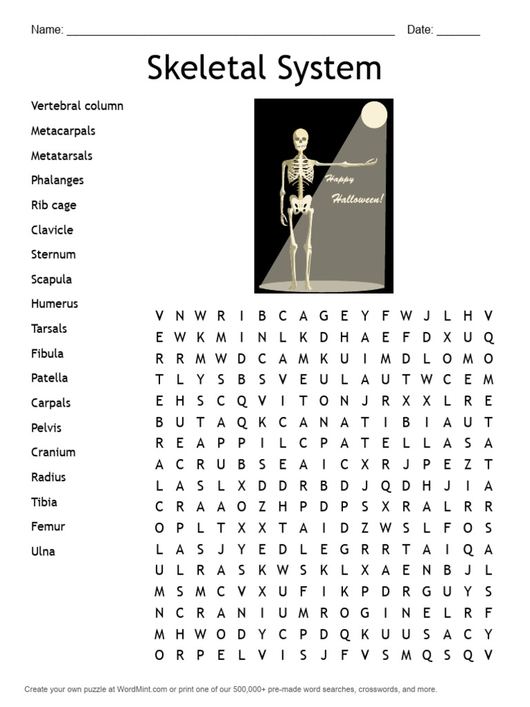 Skeletal and Muscular System WS | PDF | Musculoskeletal System