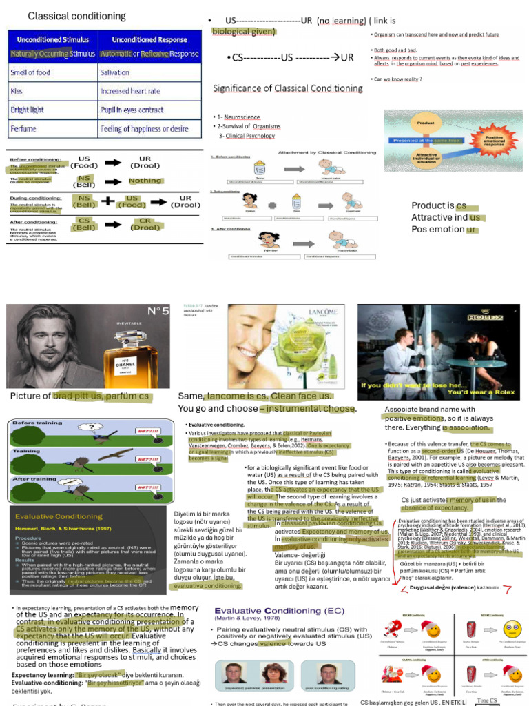 Classical Conditioning Final | PDF