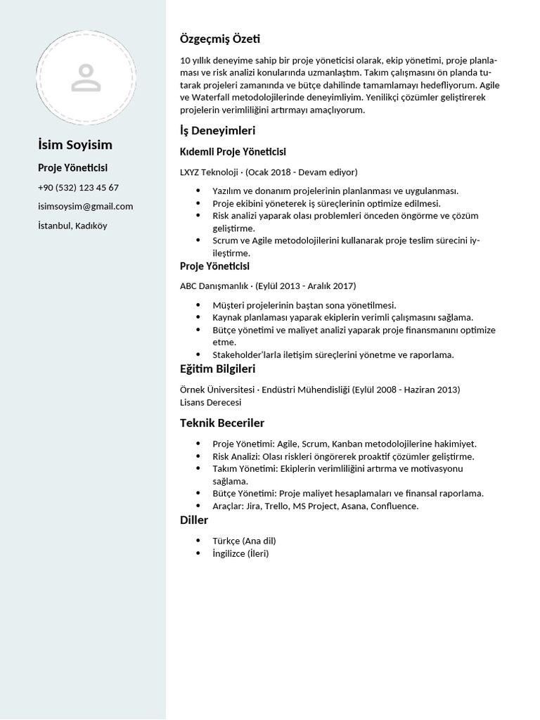 Hazir CV Ornegi | PDF