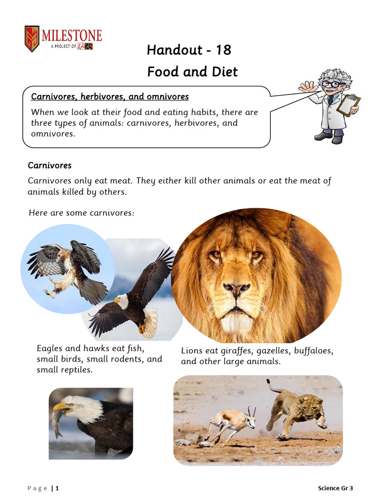 Handout-18 - Food and Diet-Carnivore, Herbivores, and Omnivores | PDF