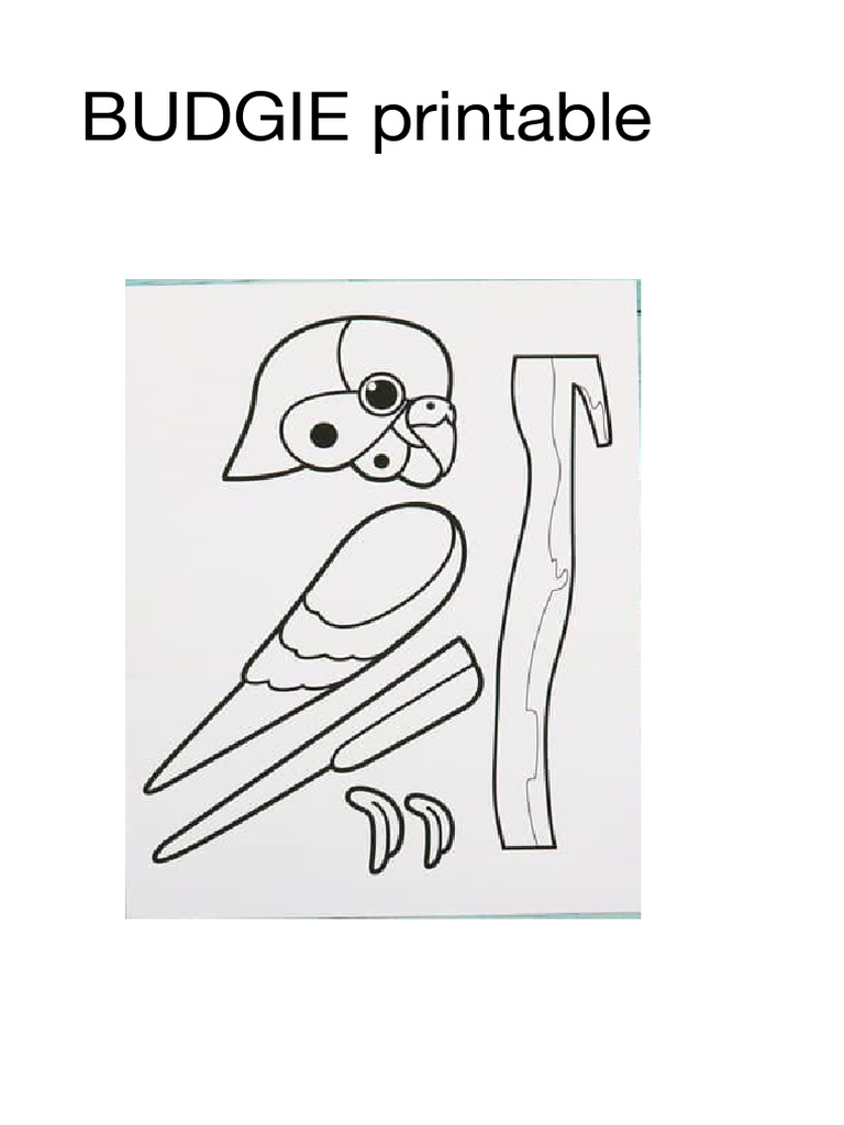 BUDGIE Printable | PDF