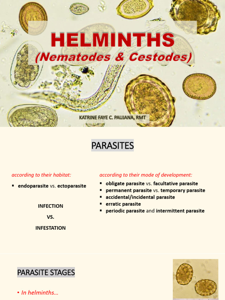 Helminths Nematodes Cestodes | PDF | Parasitism | Microbiology