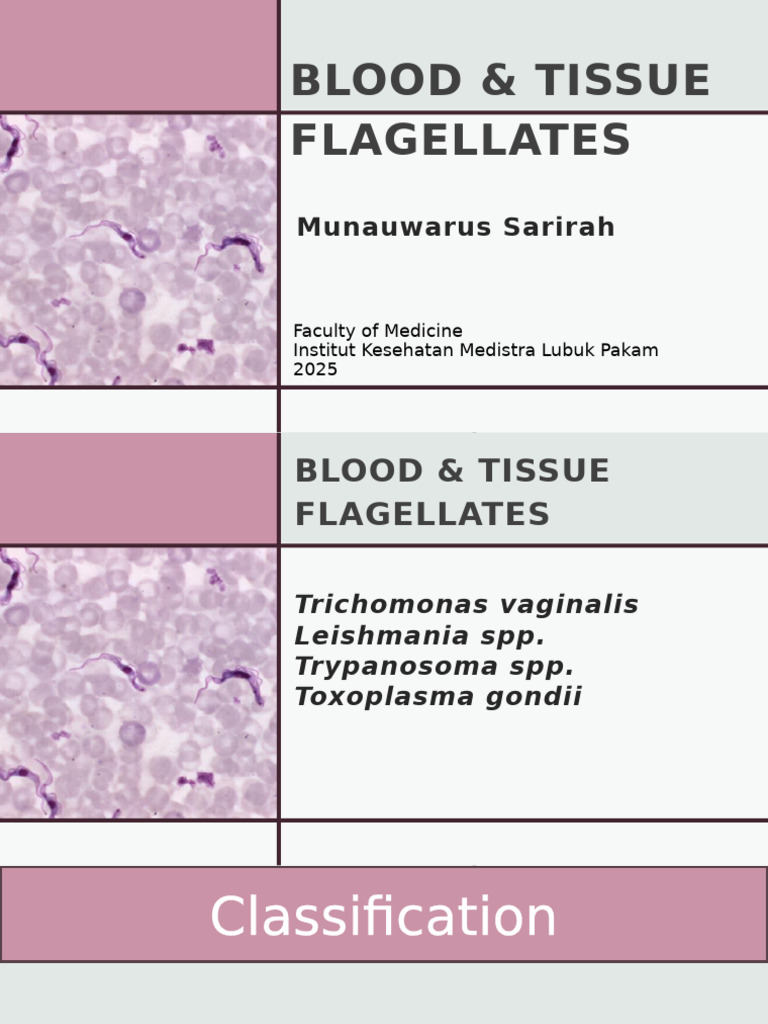 KP 21 22 Flagellates and Blood & Tissue Protozoa | PDF | Leishmania ...