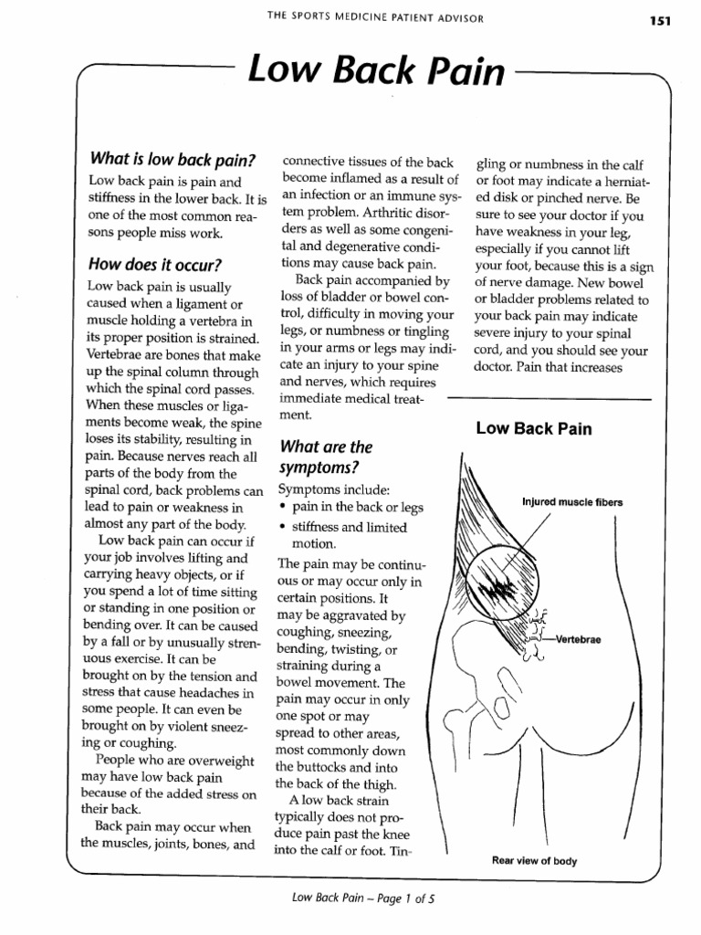 151 - Low Back Pain | PDF