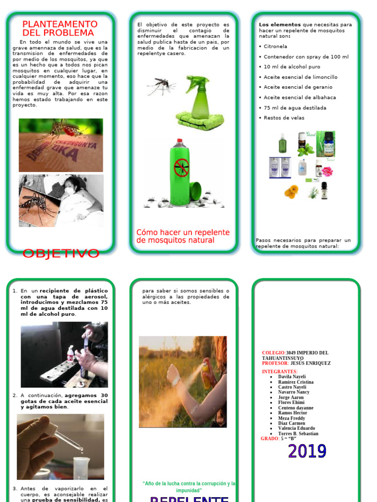 Triptico Proyecto Repelente Casero | PDF