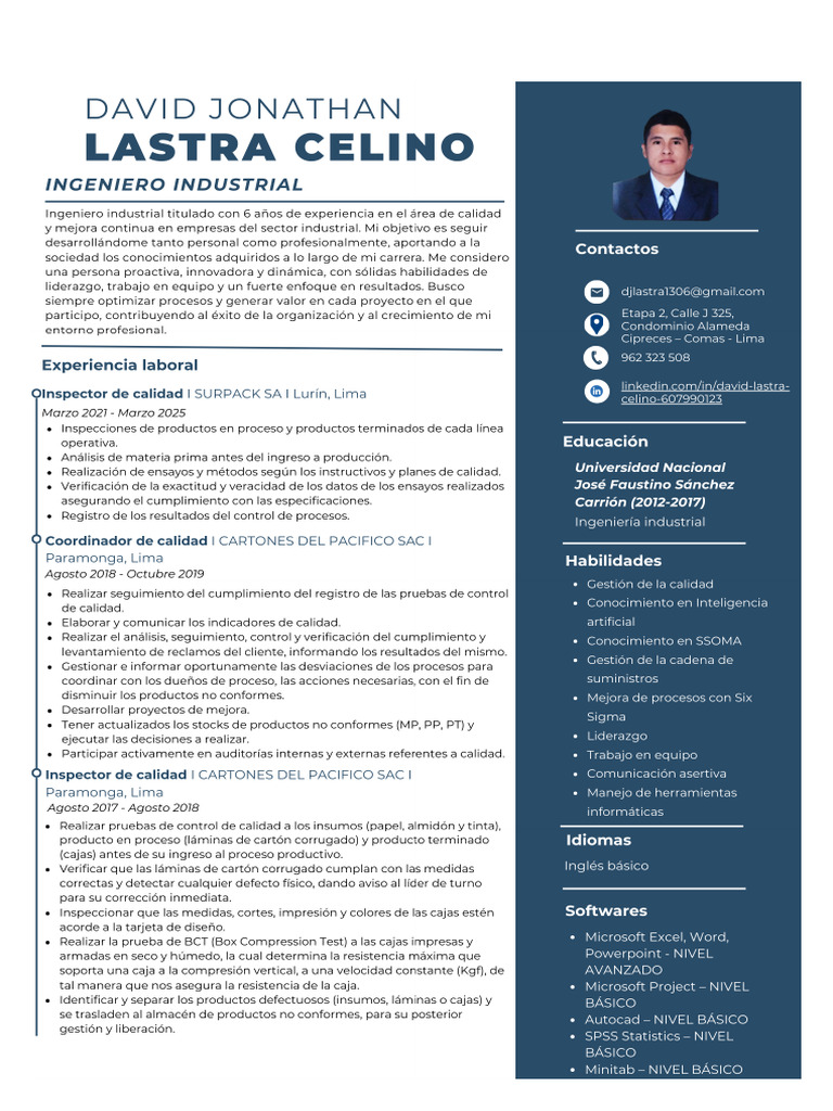 CV David Lastra Documentado Completo-3 | PDF