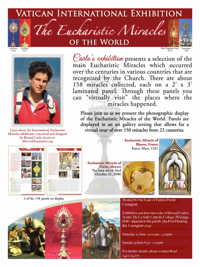 Eucharistic Miracles Flyer - Olf | PDF