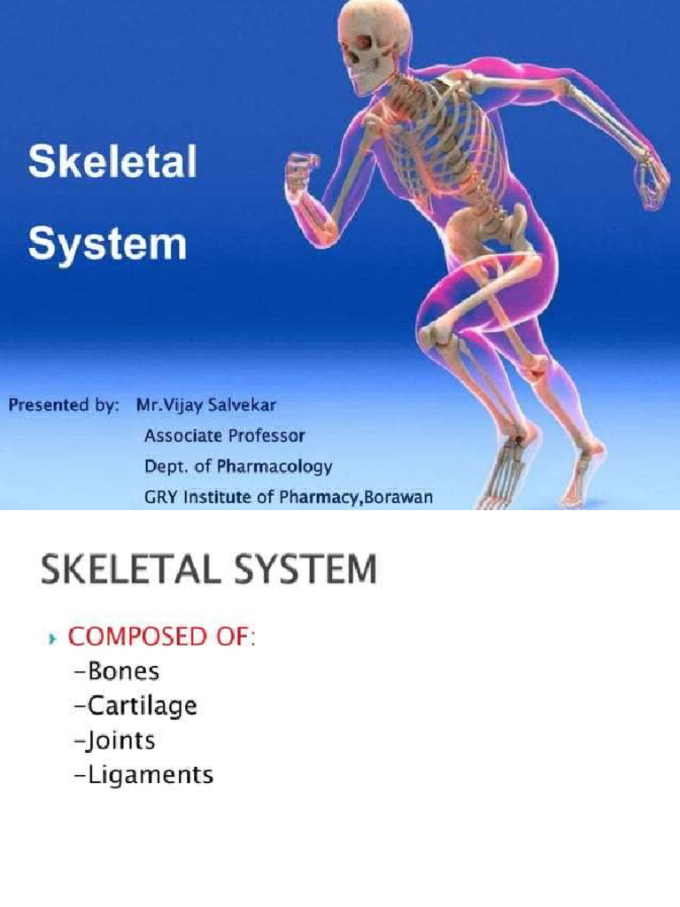 Skeletal System | PDF