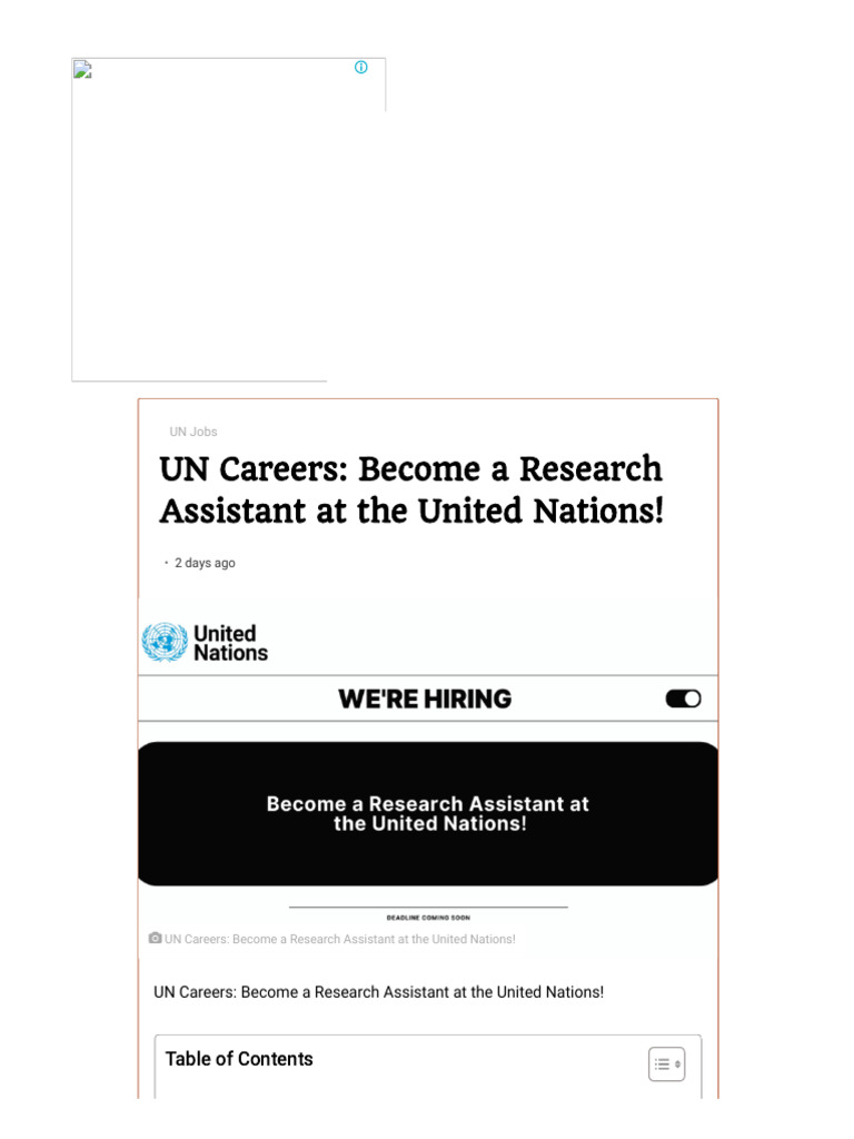 UN Research Assistant Opportunity | PDF | Data | Databases