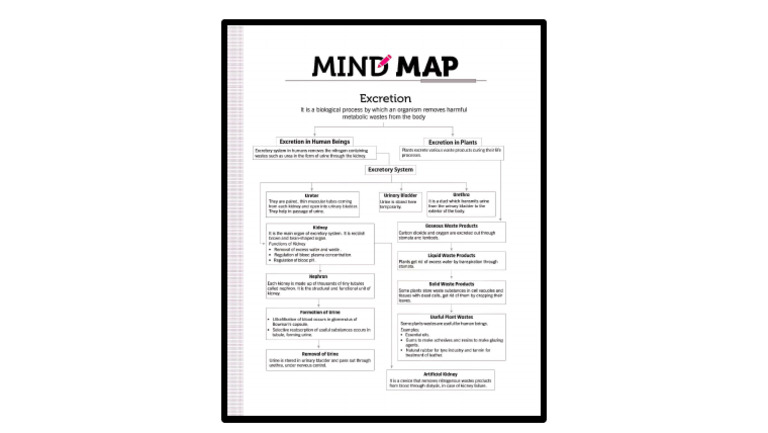 10th STD Science Mind Map-Cbse Eng Version 2019-20 by R Nagure-10 | PDF
