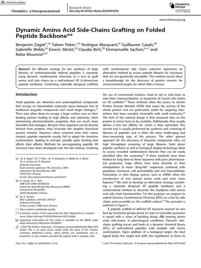 Chemistry A European J - 2022 - Zagiel - Dynamic Amino Acid Side Chains ...