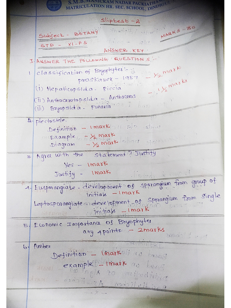 Xi Botany Answer Key | PDF