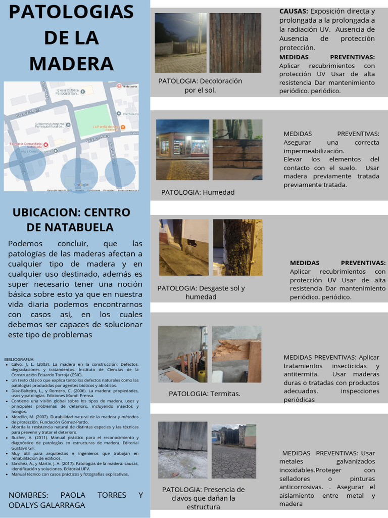 Patologías y Prevención de la Madera | PDF | Madera | Patología