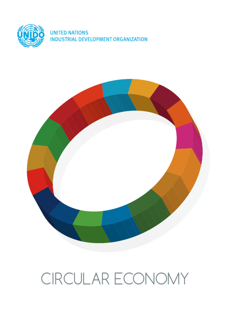UNIDO's Circular Economy Vision | PDF | Developing Country | Sustainability