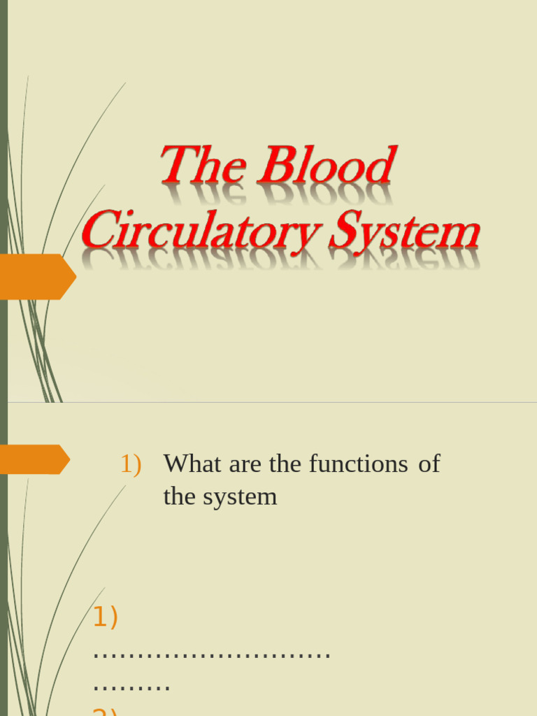 Overview of the Circulatory System | PDF