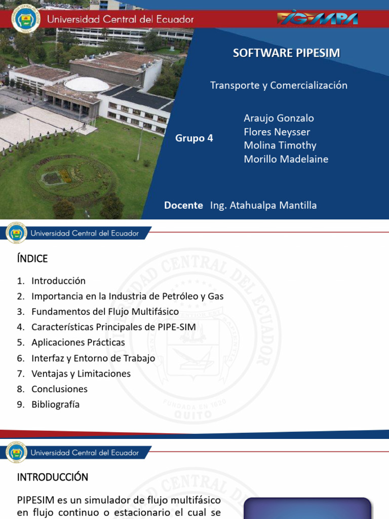 Software PIPESIM en Flujo Multifásico | PDF | Líquidos | Gases