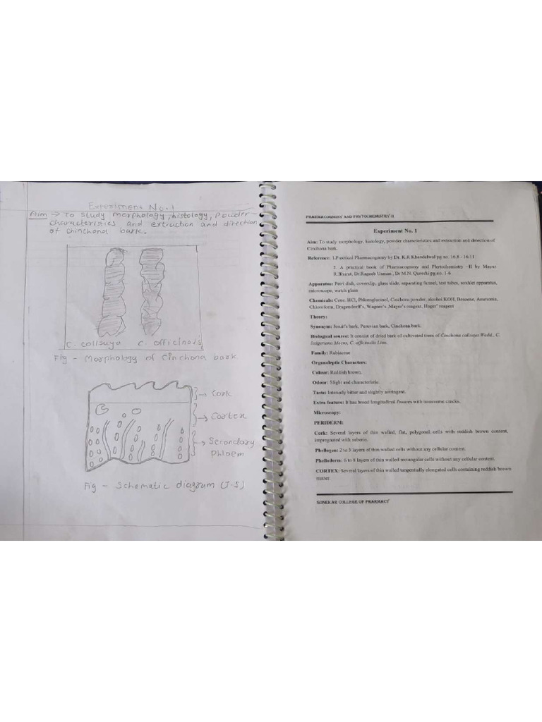 Practical Leaf ? | PDF