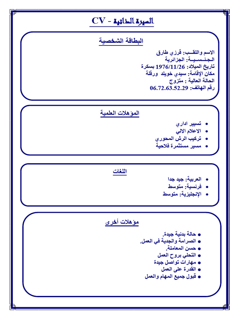 Arabic CV | PDF