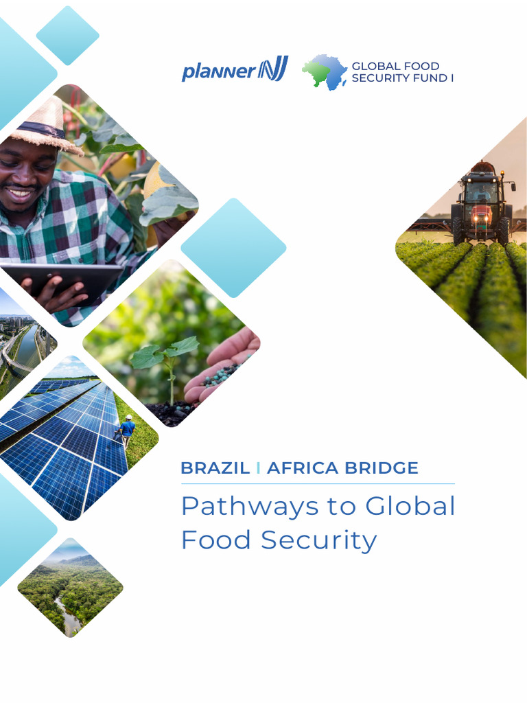 GFSF I Info Memo Social FINAL | PDF | Agriculture | Food Security