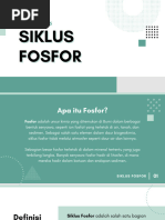 Proses Daur Fosfor di Alam | PDF