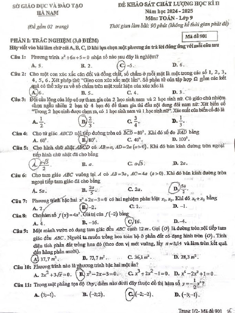 2025-De Thi Cuoi Hoc Ky II Toan Ha Nampdf | PDF