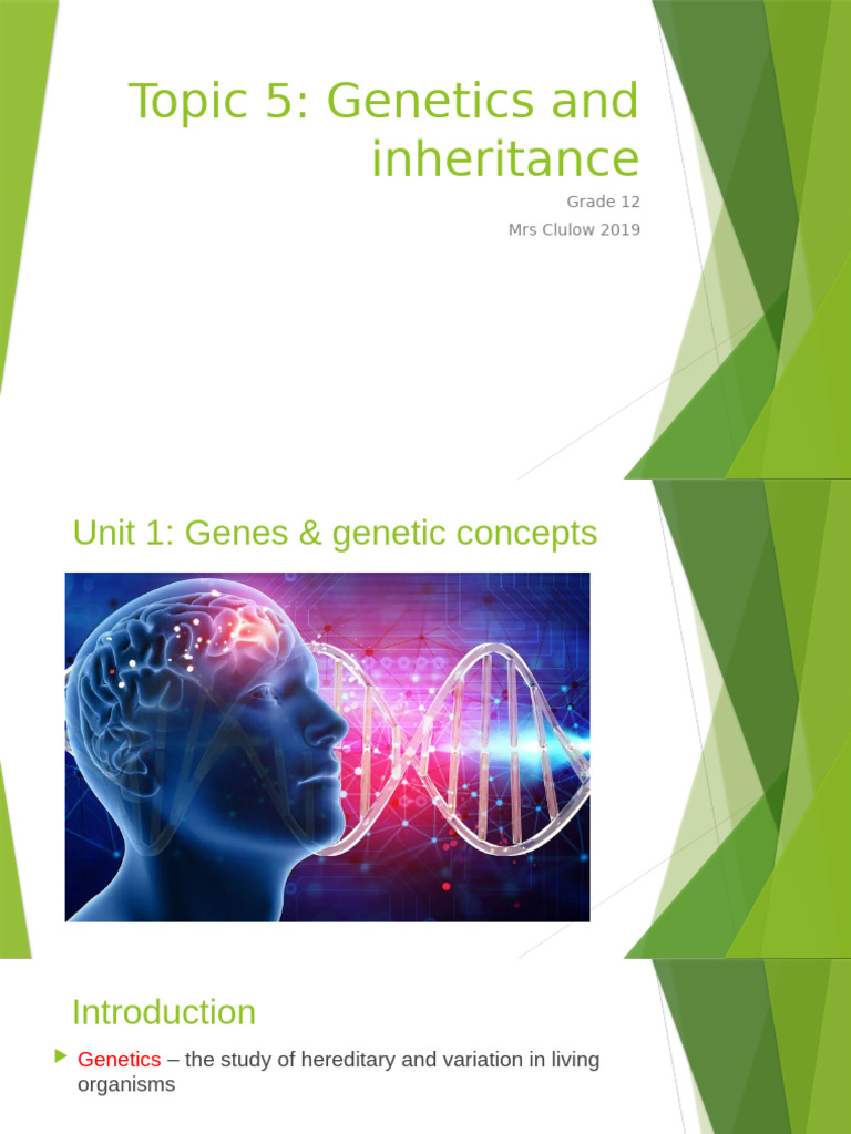 Gr12 Genetics & Inheritance CL 2019 | PDF | Dominance (Genetics) | Allele