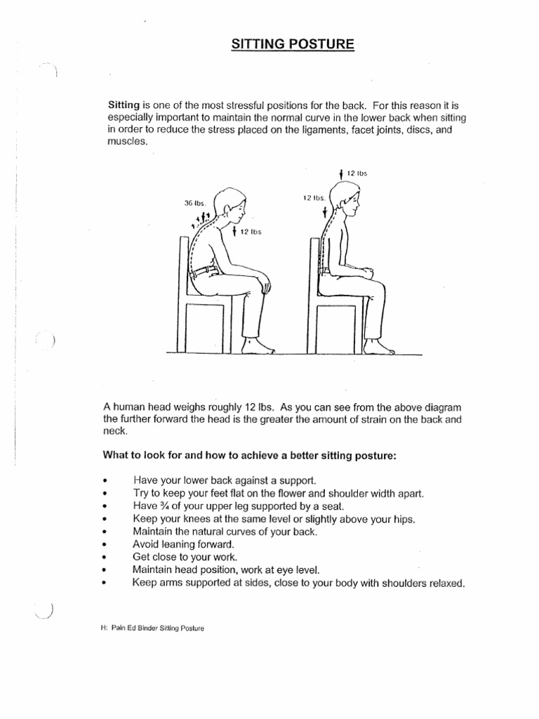 185 - Sitting Posture | PDF