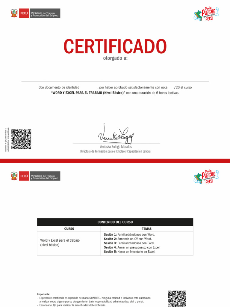 Word Excel Certificado Basico | PDF