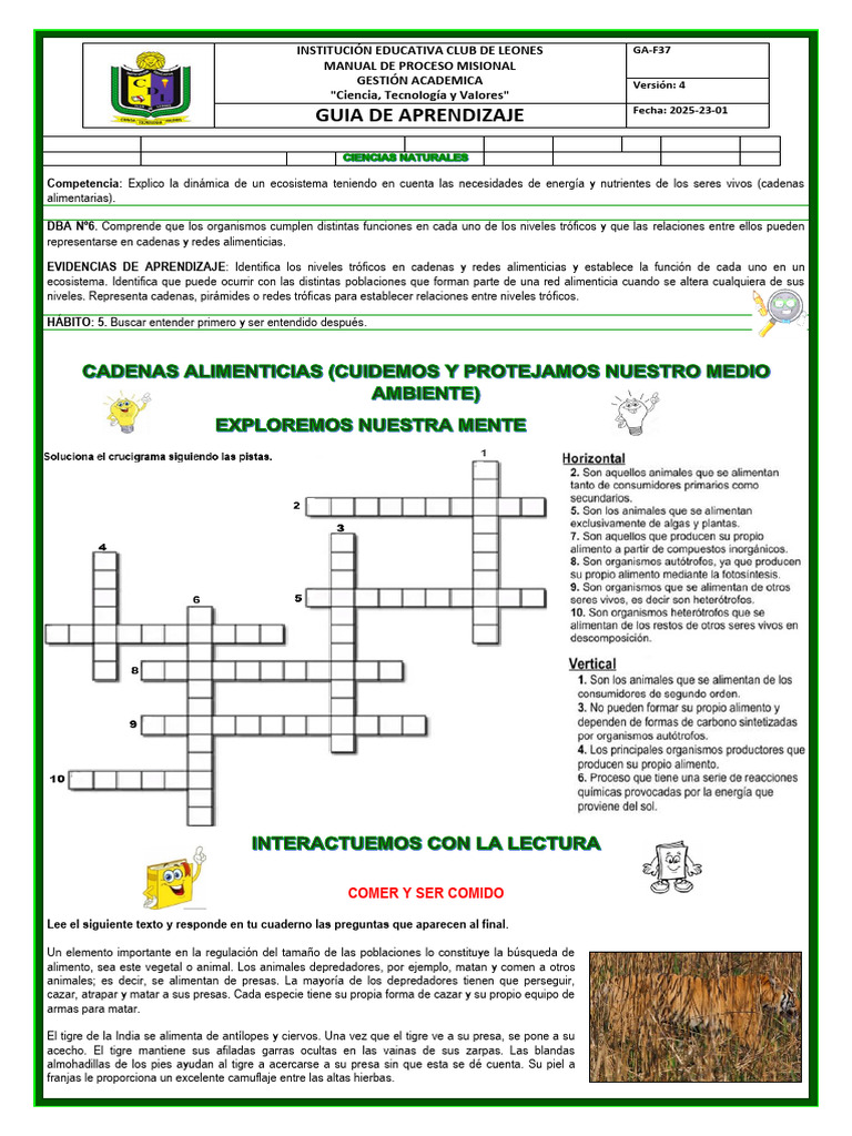 Cadenas Alimenticias y Ecosistemas en 4° | PDF | Red alimentaria | Ecología