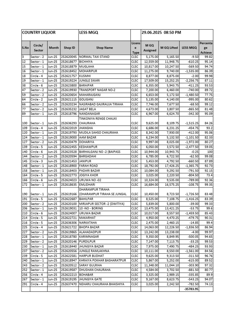 June 2025 MGQ Performance Report | PDF