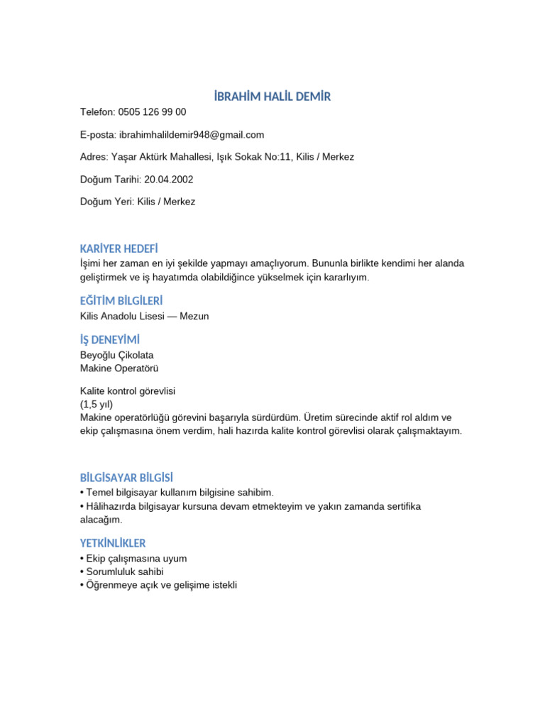 Ibrahim Halil Demir CV | PDF