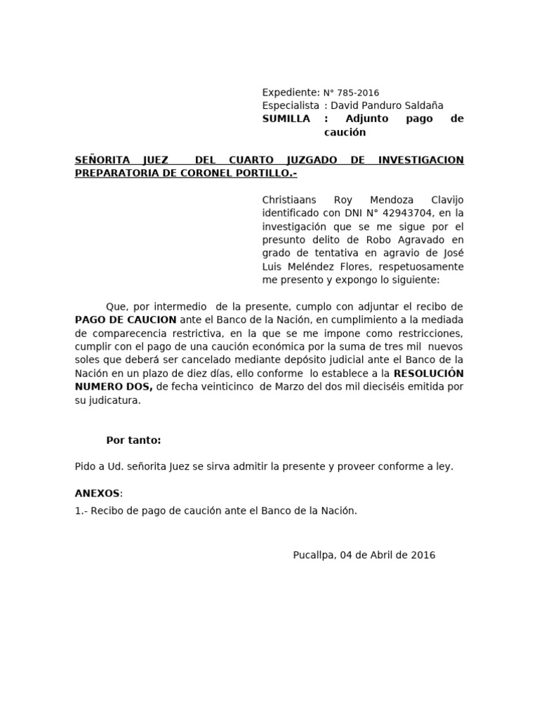 Pago de Caucion PNP | PDF