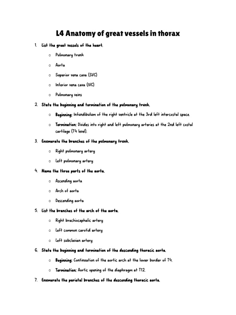 L4 Anatomy of Great Vessels in Thorax | PDF | Aorta | Common Carotid Artery