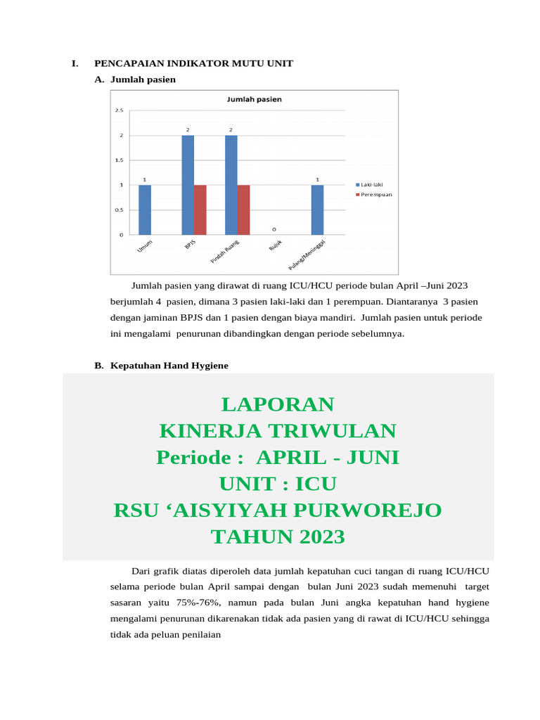 Format Lap Triwulan II | PDF