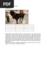 Breeds of Goats | PDF
