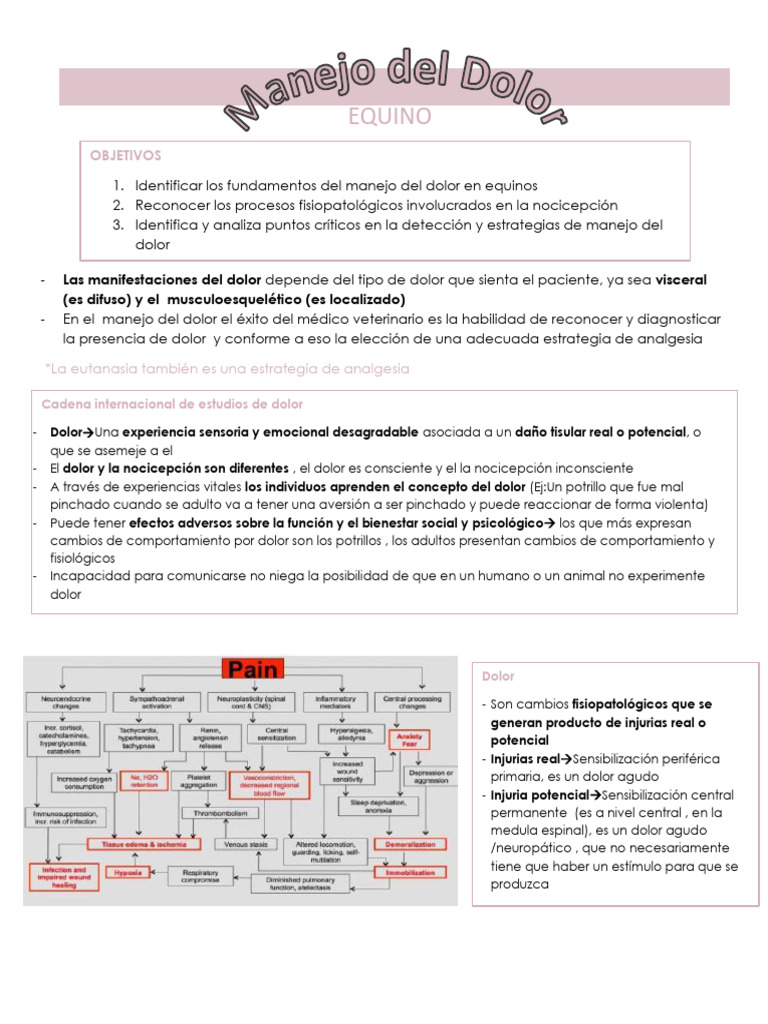 Manejo Del Dolor | PDF | Dolor | Analgésico