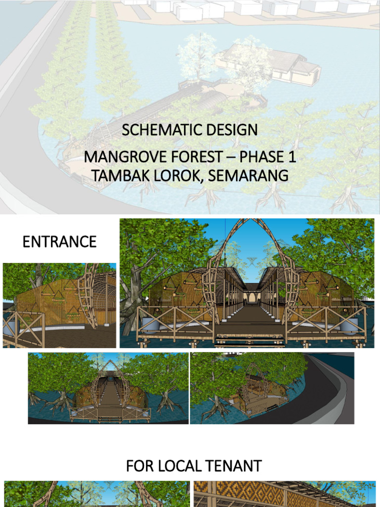 Schematic Design Phase 1-Mangrove Project | PDF