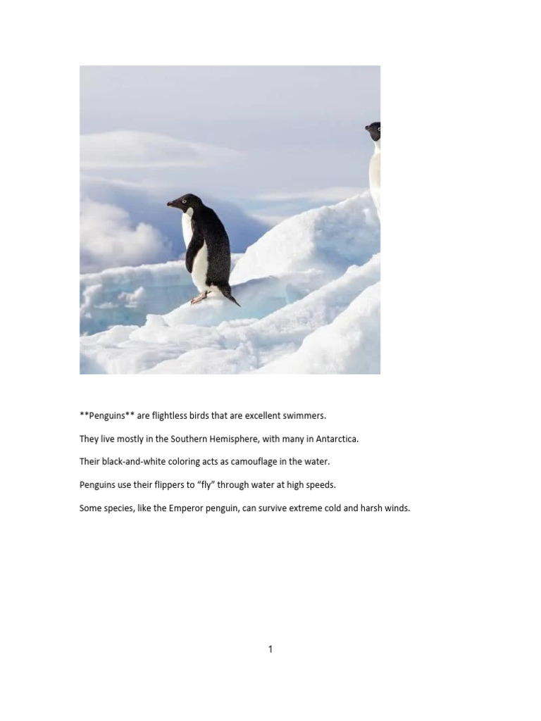 Penguin | PDF