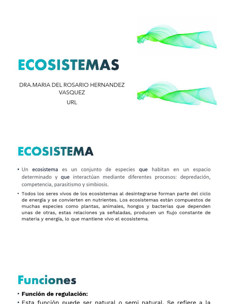 ECOSISTEMAS | PDF | Ecosistema | Organismos