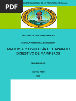 Anatomía del Hámster: Estudio Detallado | PDF | Mamíferos | Reptil