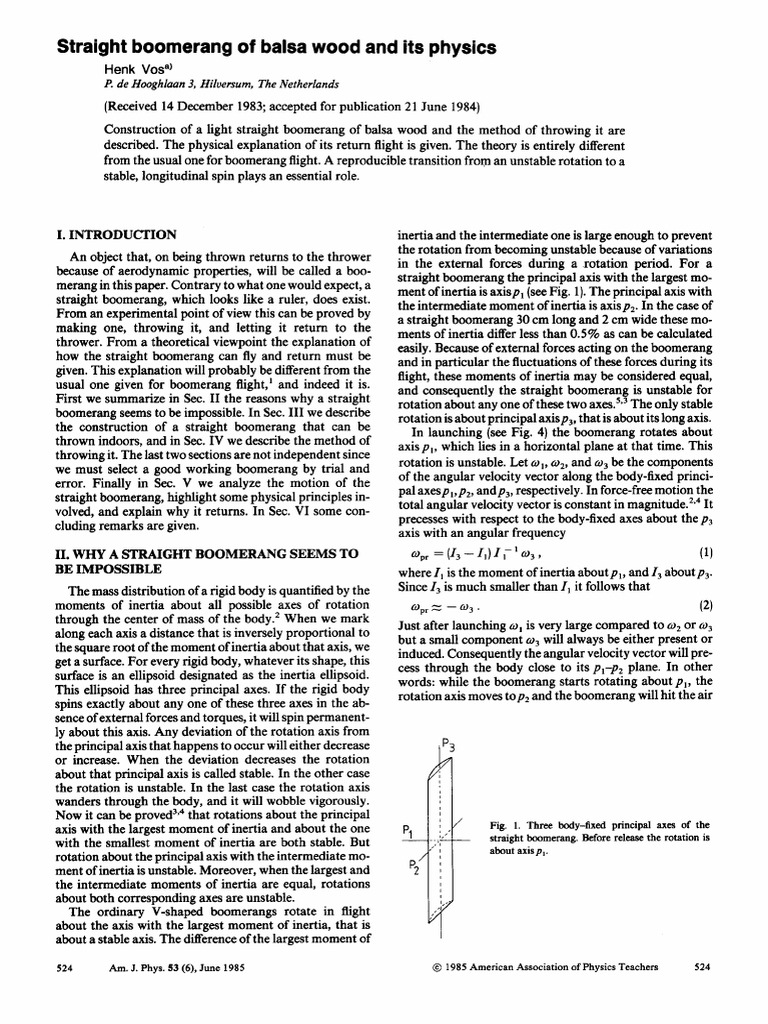 SIMPLEBOOMERANG1 | PDF