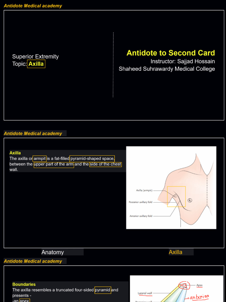 Axilla | PDF