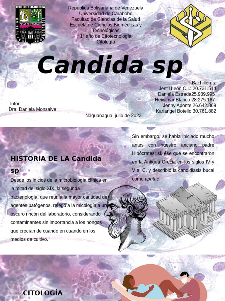 Tratamiento de Neumonía por Hongos | PDF | Candidiasis | Candida (hongo)