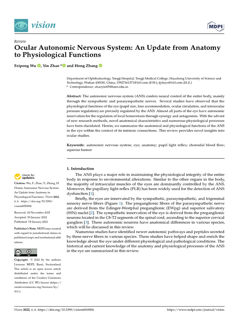 Ocular Autonomic Nervous System An Update From Ana | PDF | Autonomic Nervous System | Cornea