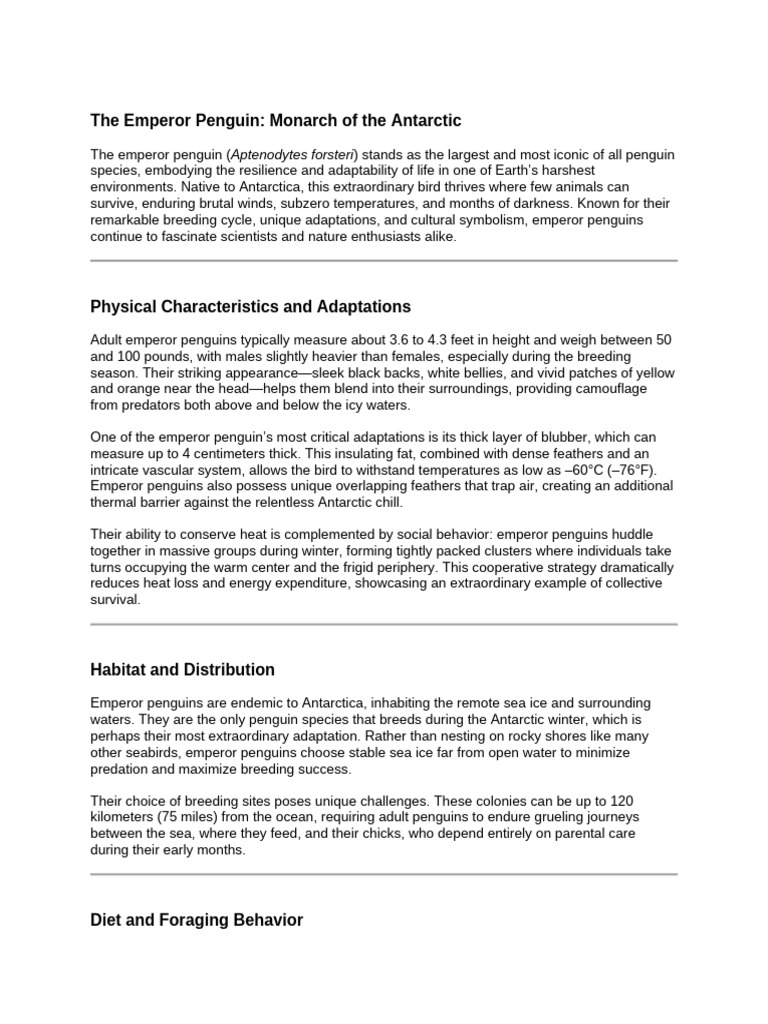 The Emperor Penguin - Monarch of The Antarctic | PDF | Penguin | Birds